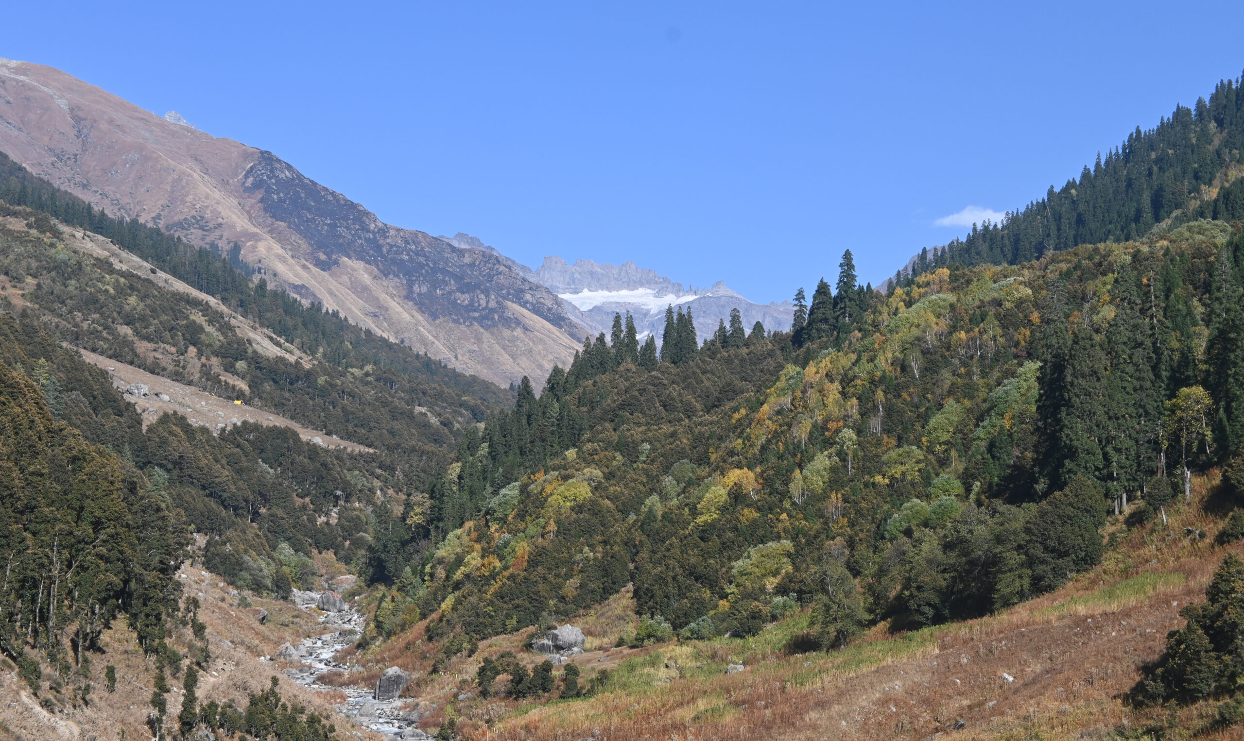 NORTHWESTERN HIMALAYAS – IndianLandraceExchange